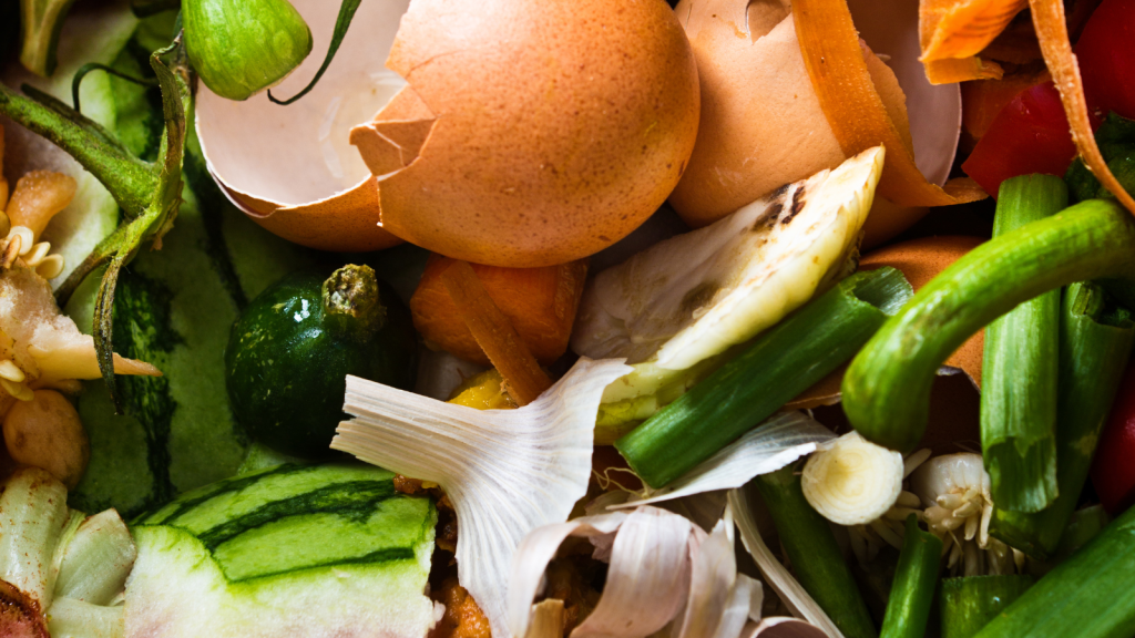 Forbright Bank Announces Financing to Renewable Energy Facility