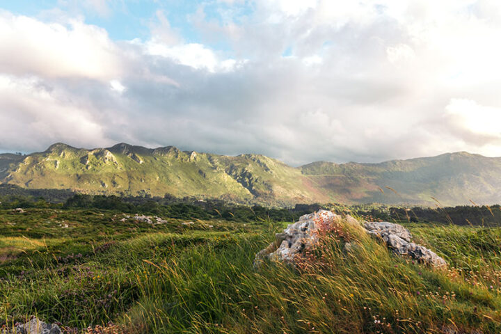 Who We Are | Forbright Bank