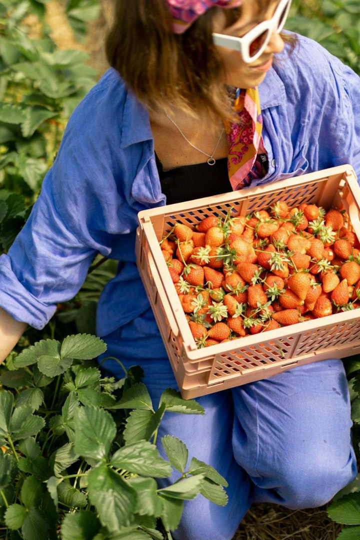 4 Facts to Know About Digital Banking Transfers | Forbright Bank