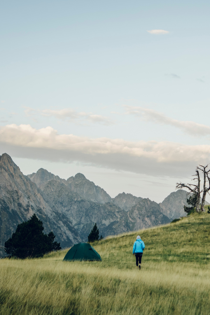 4 Facts to Know About Digital Banking Transfers | Forbright Bank