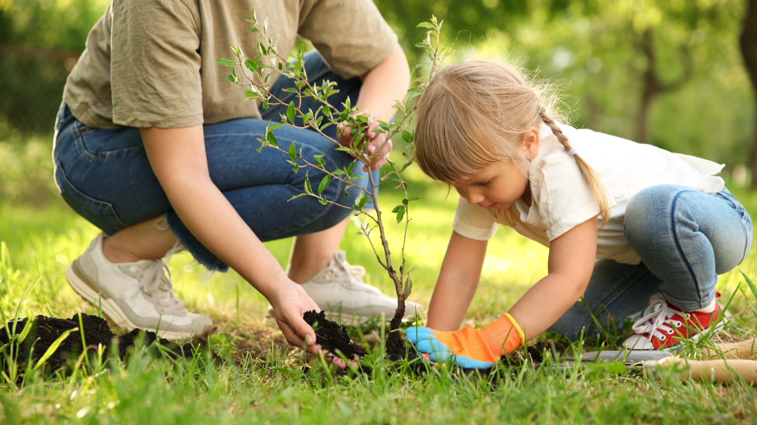 Savings Strategies to Help You Reach Your Short-Term Goals | Forbright Bank